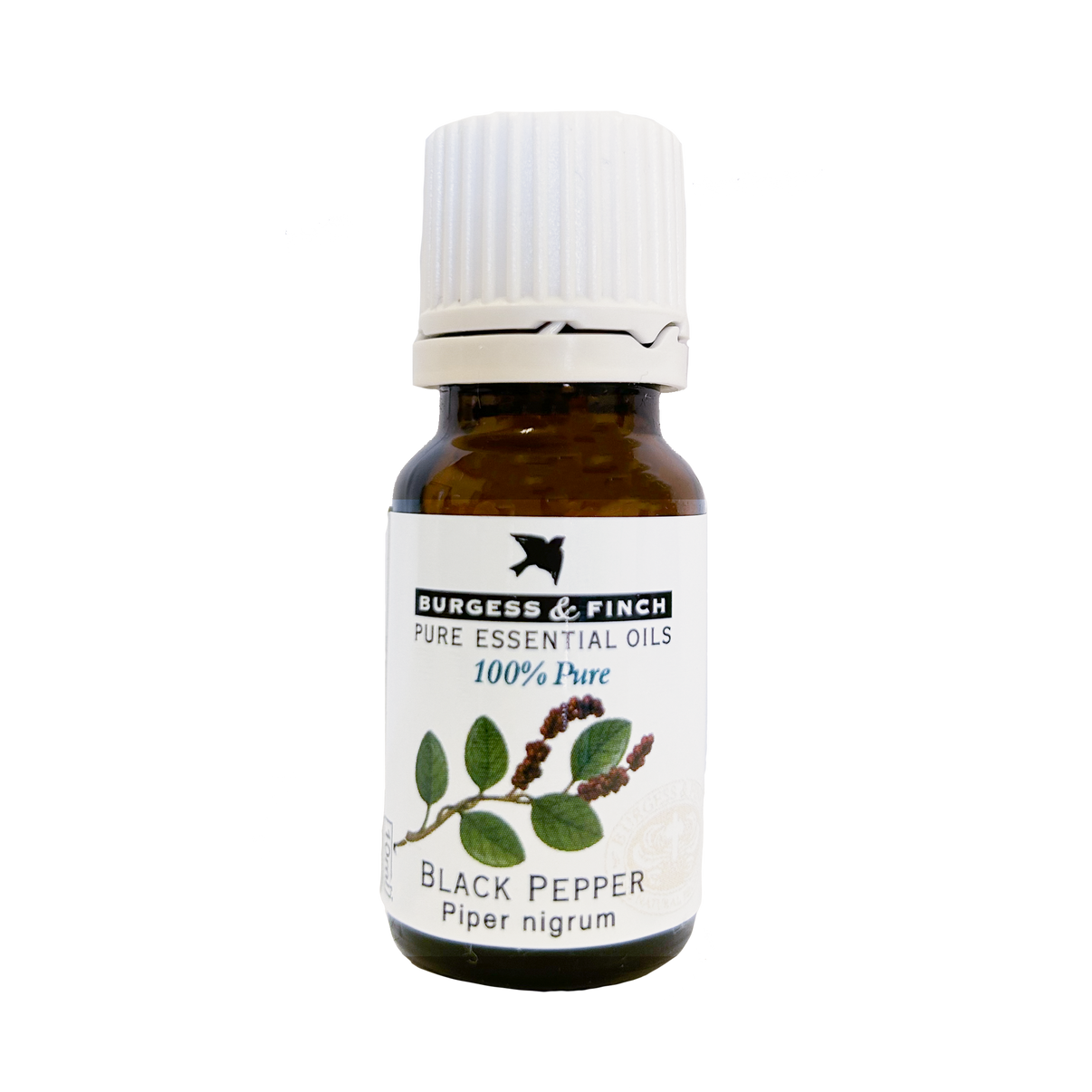 Black Pepper Oil 10ml – Good Mood Labs