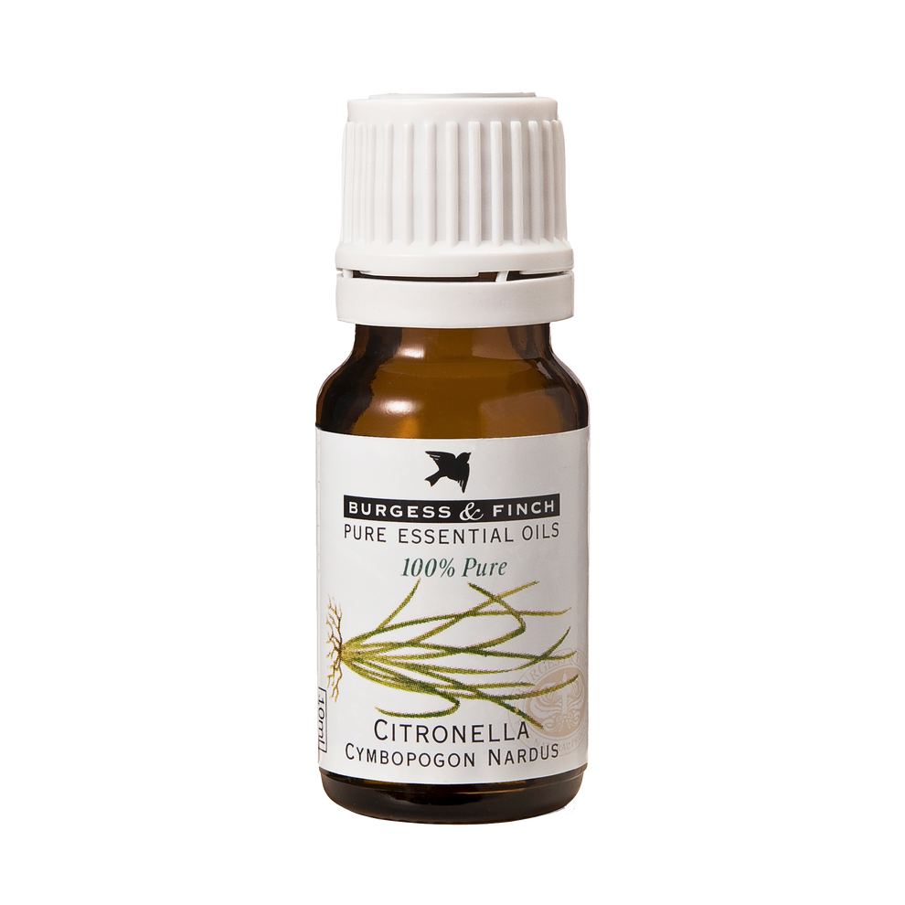 Citronella Oil 10ml – Good Mood Labs