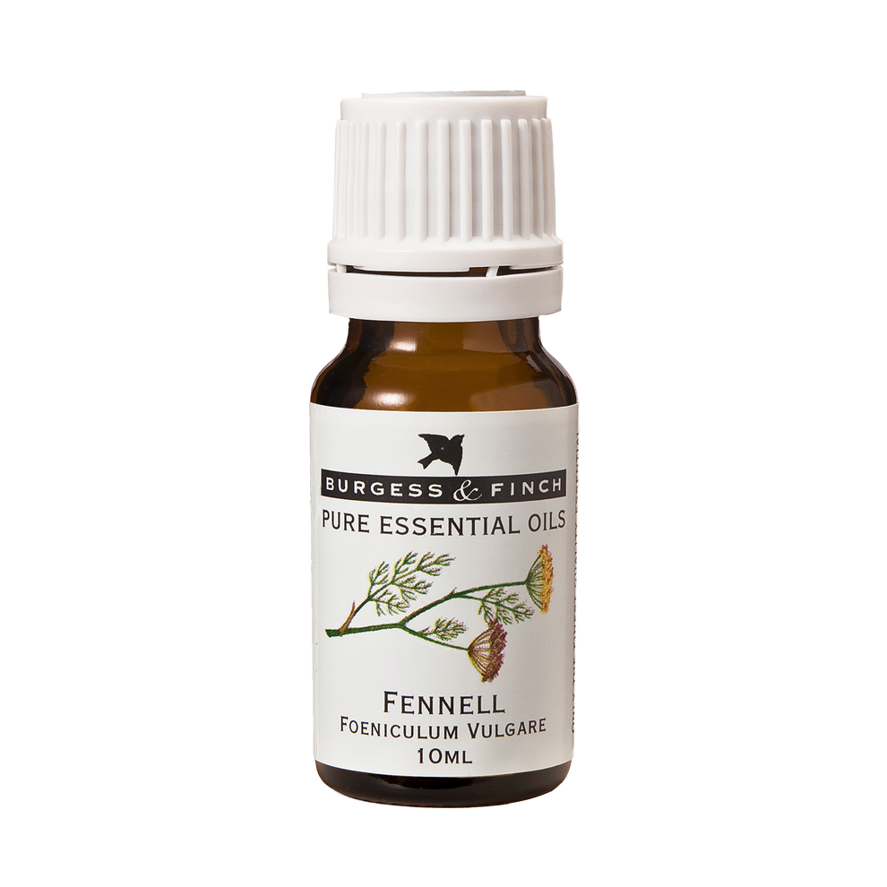 Fennel Oil 10ml – Good Mood Labs