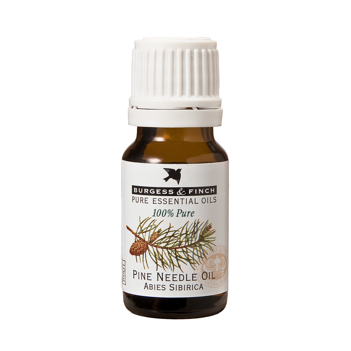 Pine Oil 10ml – Good Mood Labs