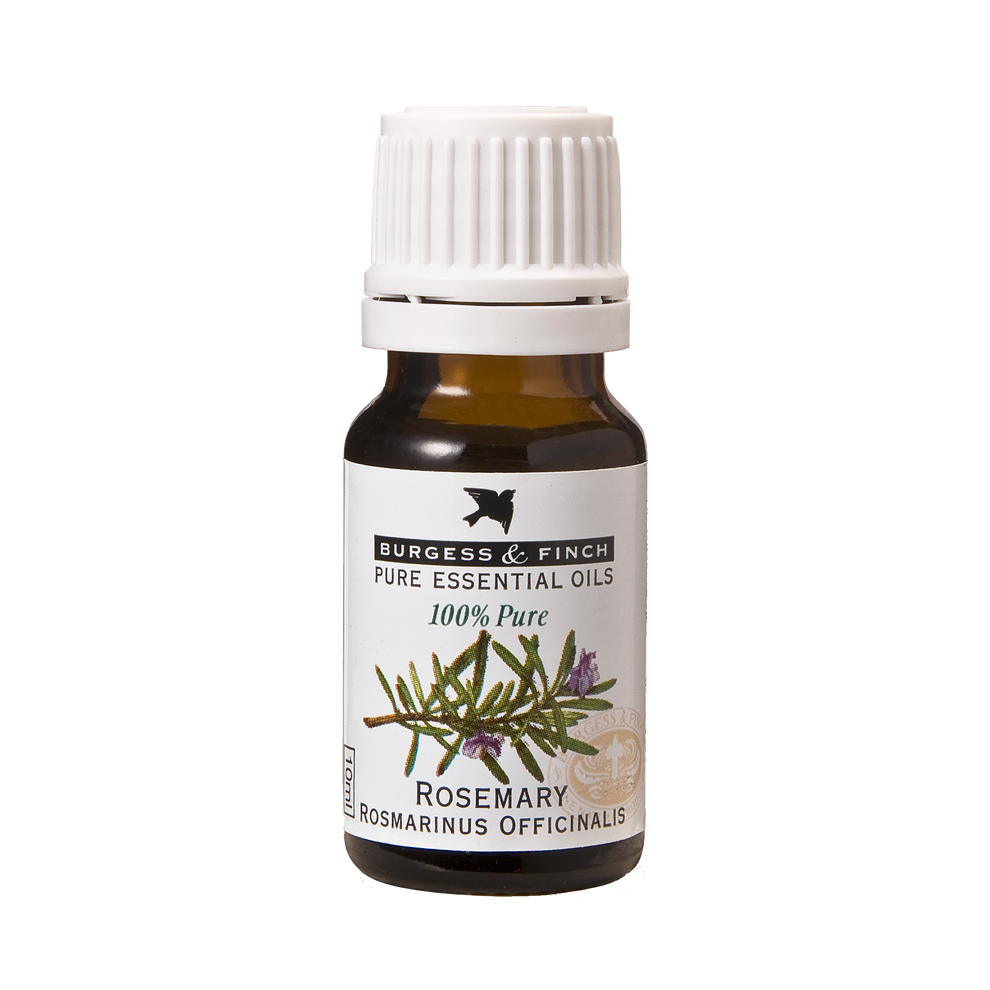 Rosemary Oil 10ml – Good Mood Labs
